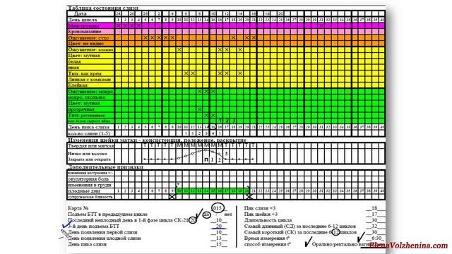 Интерпретация нетипичного менструального цикла - Урок3-2.