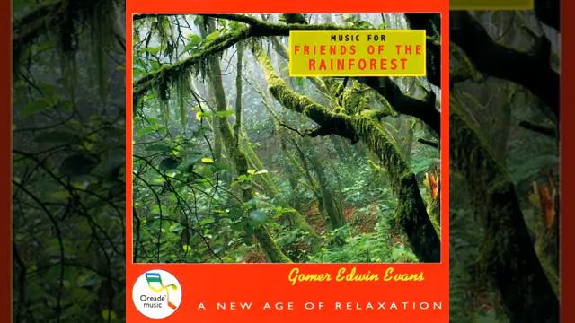 ДРУЗЬЯ ДОЖДЛИВОГО ЛЕСА