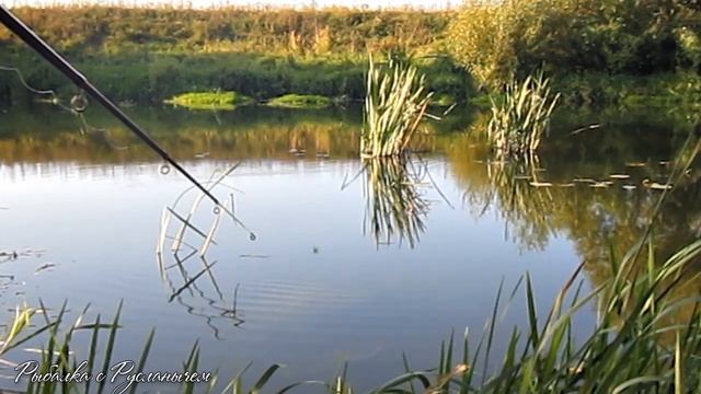 Ловля уклейки на речке.mp4