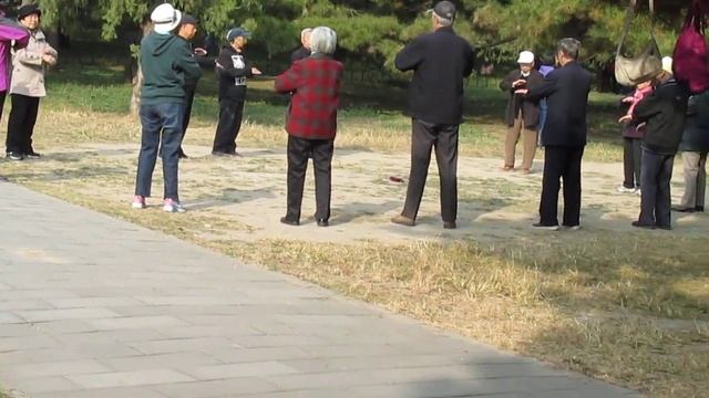 простейшие упражнения цигун, доступные любому уровню подготовки в парках Пекина.mp4