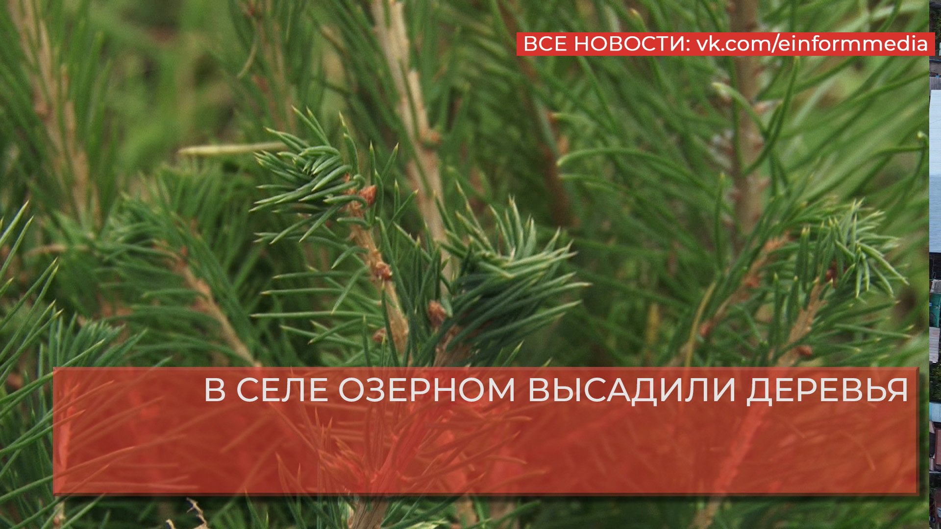 В СЕЛЕ ОЗЕРНОМ ВЫСАДИЛИ ДЕРЕВЬЯ.mp4