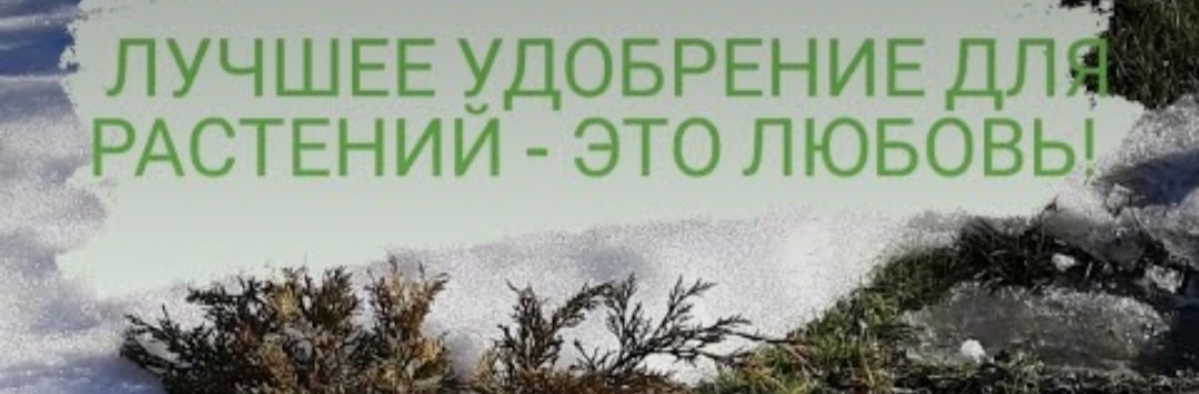 ЛУЧШЕЕ УДОБРЕНИЕ ДЛЯ РАСТЕНИЙ - ЭТО ЛЮБОВЬ!