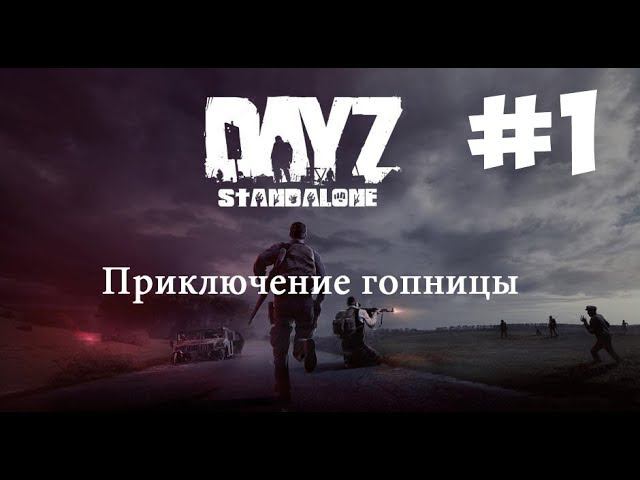 DayZ #1
