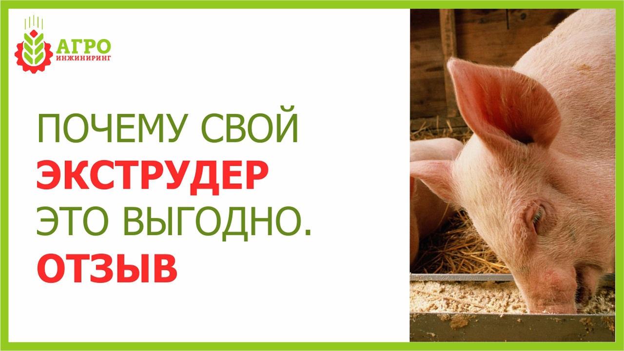 Откорм свиней экструдированным кормом. Опыт с 2012 года. Отзыв.