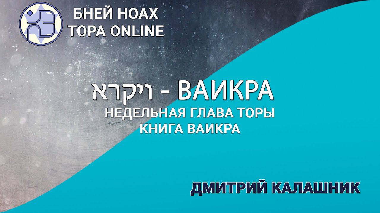 Недельная глава Торы - Парашат а-шавуа - "Ваикра" 5784/2024. Дмитрий Калашник