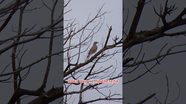 Не нужно боятся изменить свою судьбу #shorts