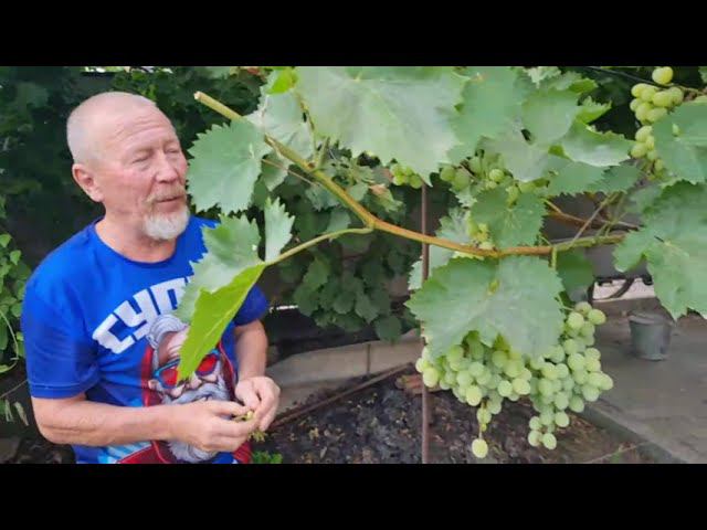 Пенсионеры Ставрополья. Как живут. Чем питаются.