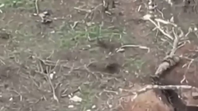 Позывной "Юрист"