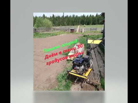 Пашем огород и садим картошку