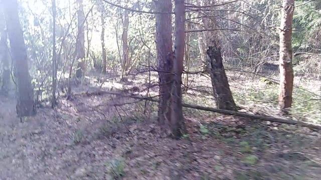 VID_015 Прекрасная погода после праздников.mp4