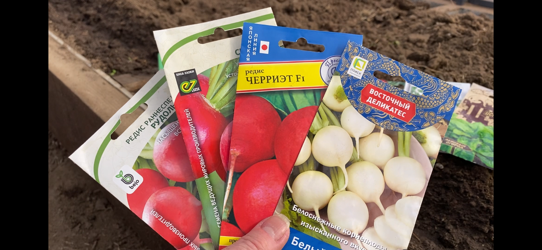 Посев редиса и зелени в теплицу для раннего урожая.