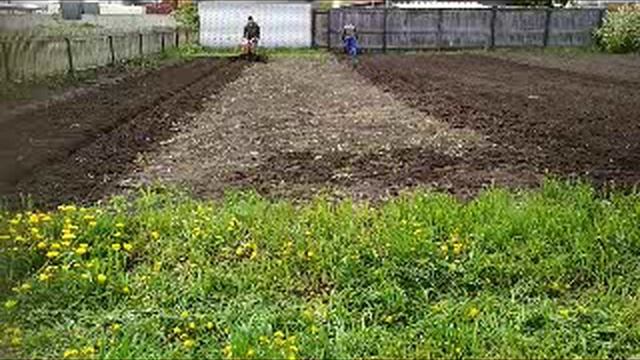 Мотоблок НЕВА. Вспашка кортежем_4.06.2018..flv