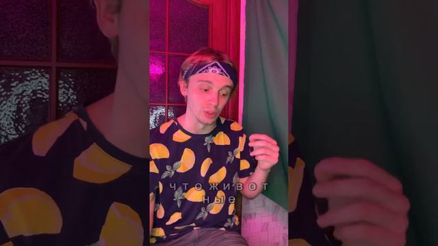 Они чувствительны к потустороннему миру