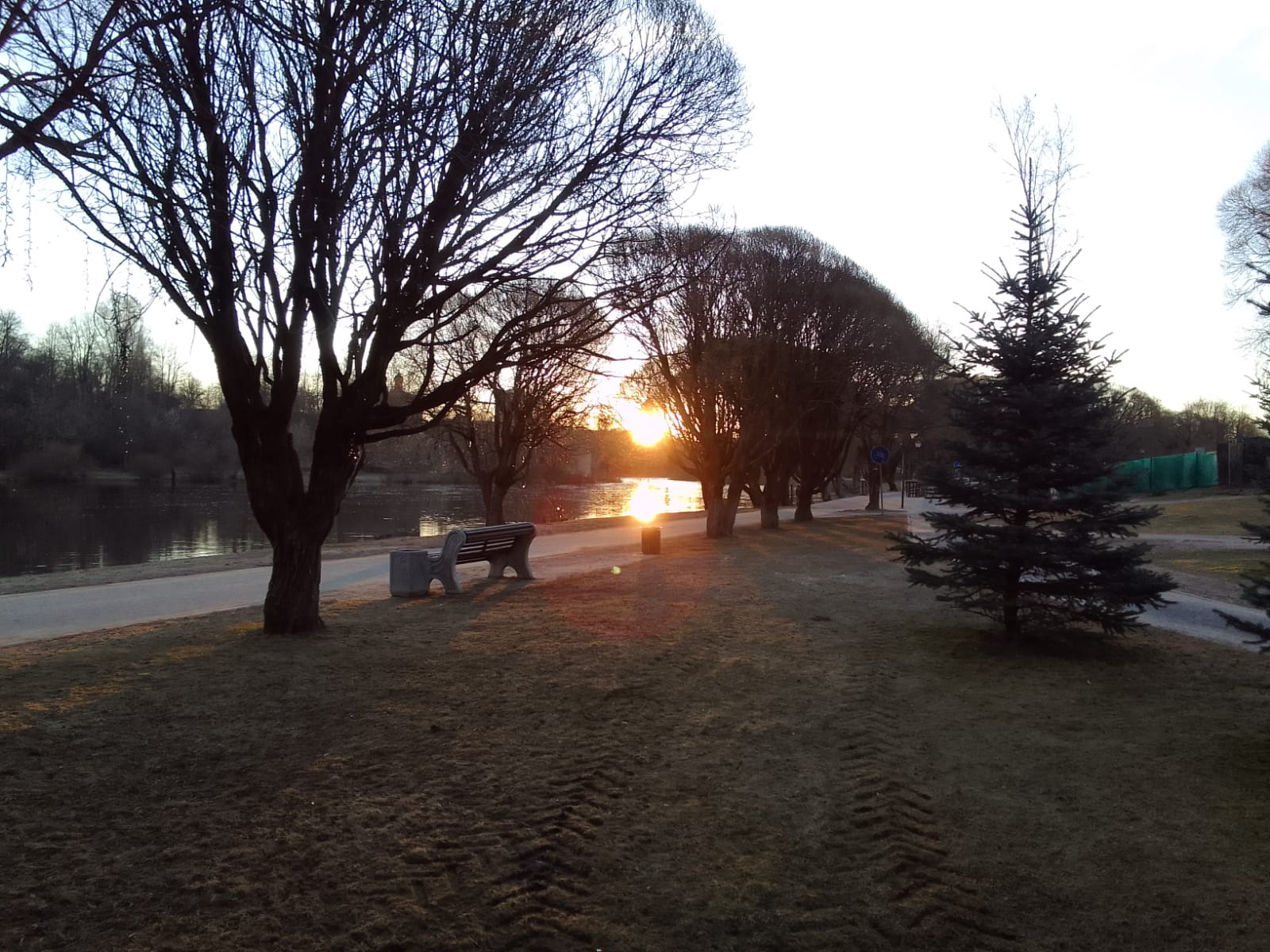 Брачные танцы сороки