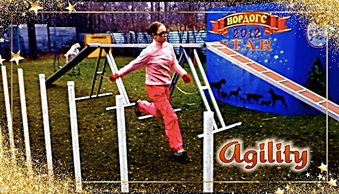 Agility. Slow motion.
Полина и Сэм - джек рассел терьер