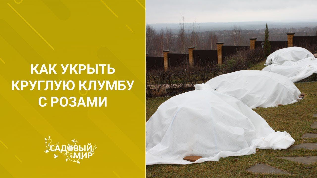 Как укрыть круглую клумбу с розами