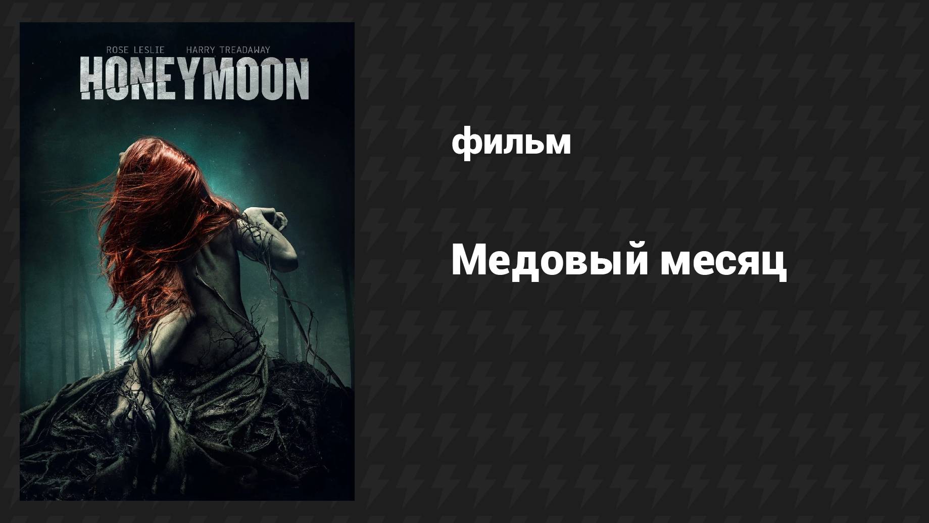 Медовый месяц (фильм, 2013)
