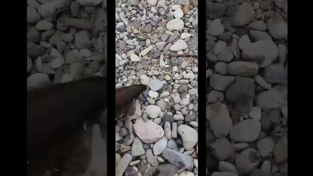 Ловля нерки на воблер 55 мм (6,2 гр) от Mr. Musurok