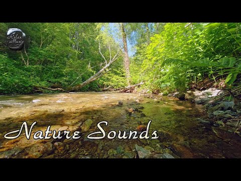 Звуки природы, Пение птиц, Звуки воды. Расслабляющая медитация, снятие стресса