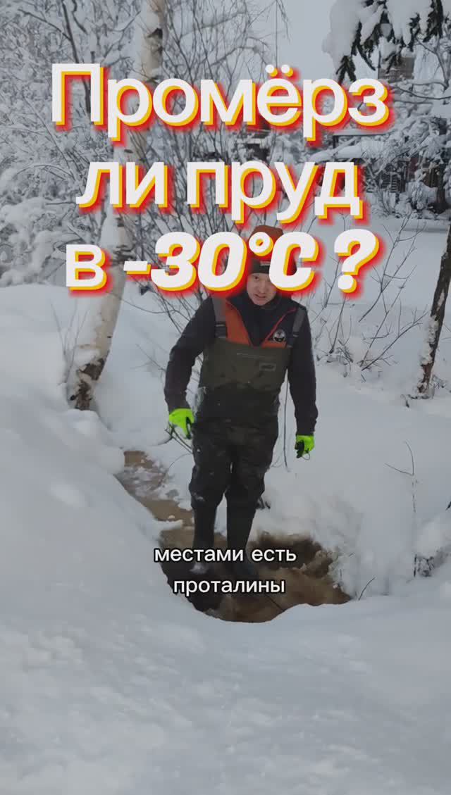 Промерзает ли пруд у болота в -30°С