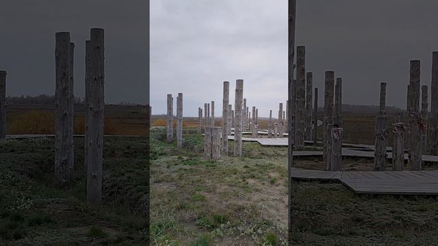 Савин Курганская область