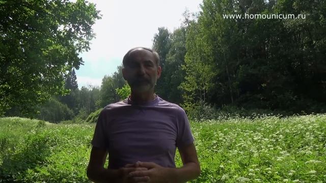 Сборка._Возвращение_растраченной_энергии.mp4