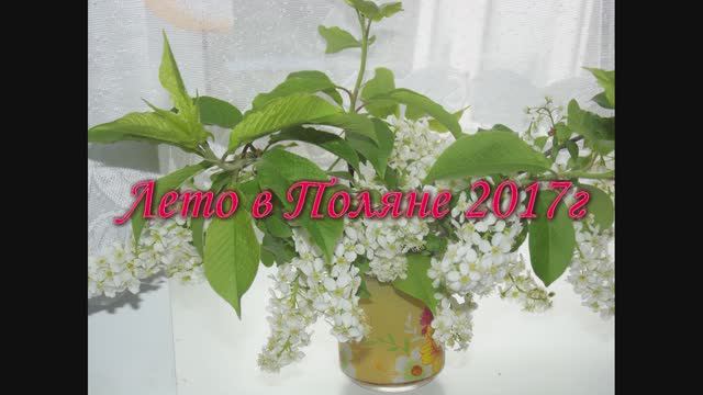 Лето в Поляне 2017 год