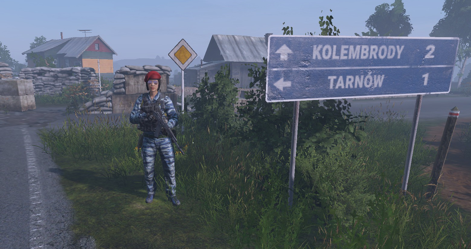 #DayZ. Проверяем способность ботов ходить