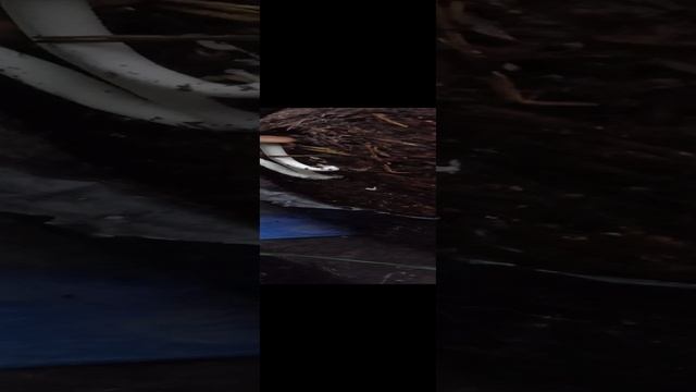 ❗ОПЯТА ИЗ БЛОКОВ ПОШЛИ В РОСТ?