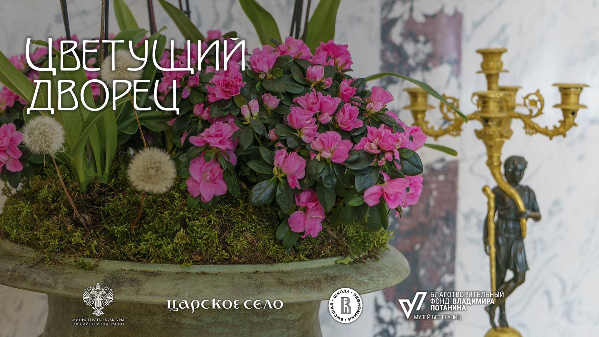 Цветущий дворец. Февраль 2024