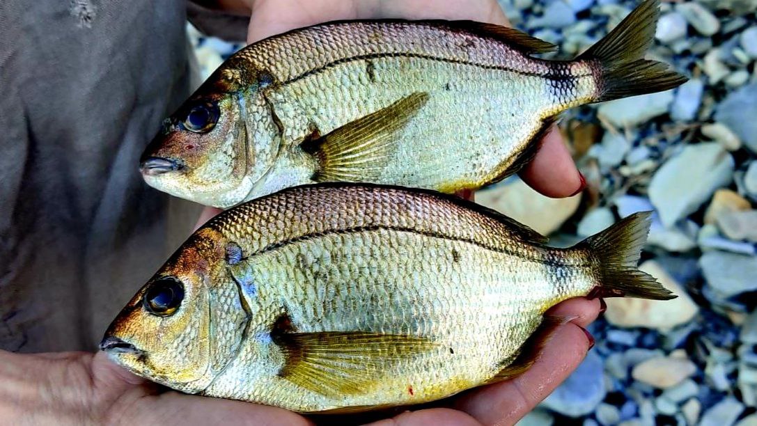 Черное море рыбалка с берега, первый раз рыбачу на Черном море с берега