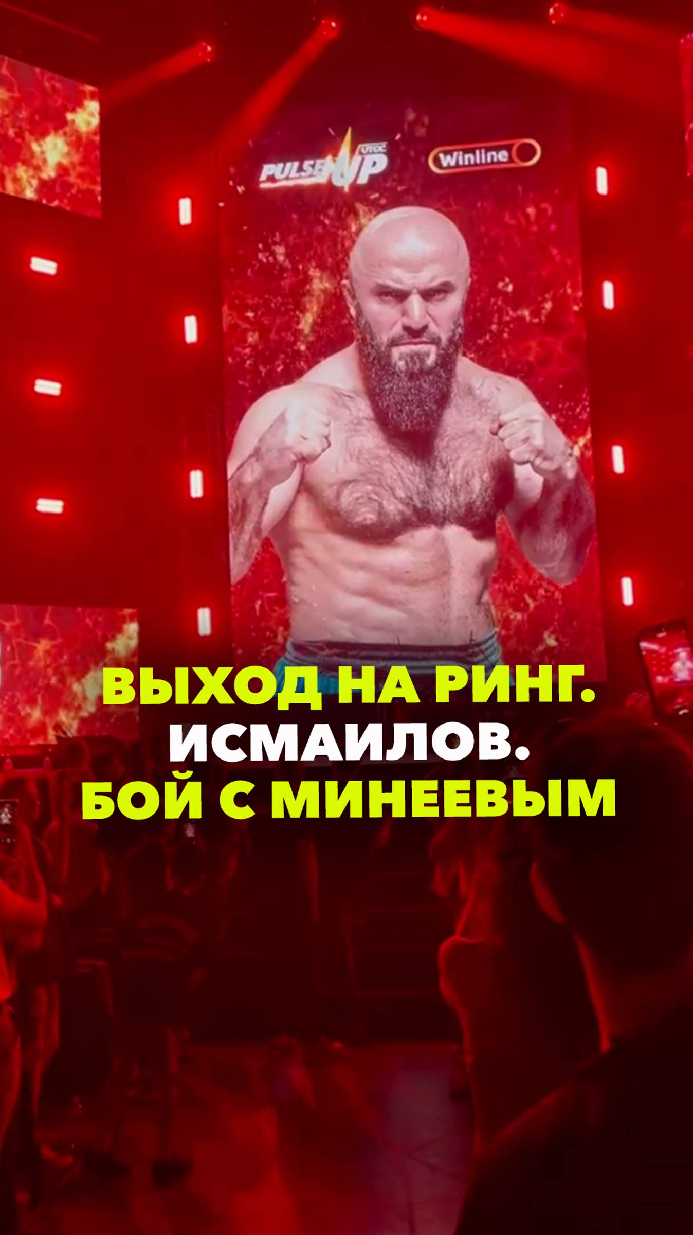 Выход на ринг. Исмаилов. Бой с Минеевым