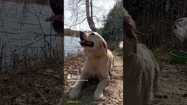 Вода, воздух, лес (1).mp4