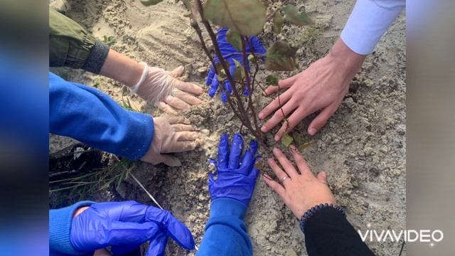 Я - эковолонтер