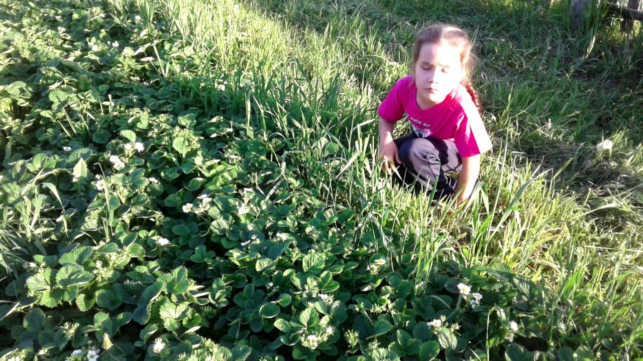 Конкурсная работа Семьи  Юсуповы