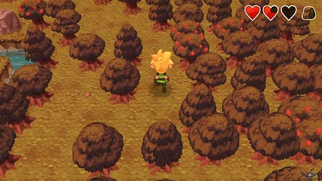 [PC] [3] [END ] Прохождение Evoland