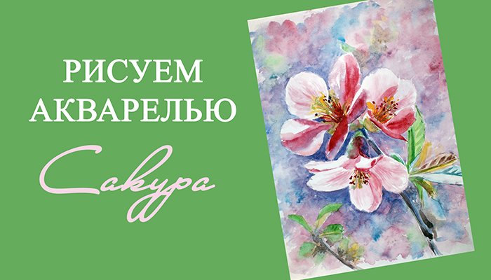 Как нарисовать сакуру акварелью. Рисунки на тему весна