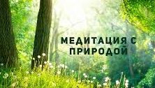 ?Красивая расслабляющая музыка ?в глубине леса?