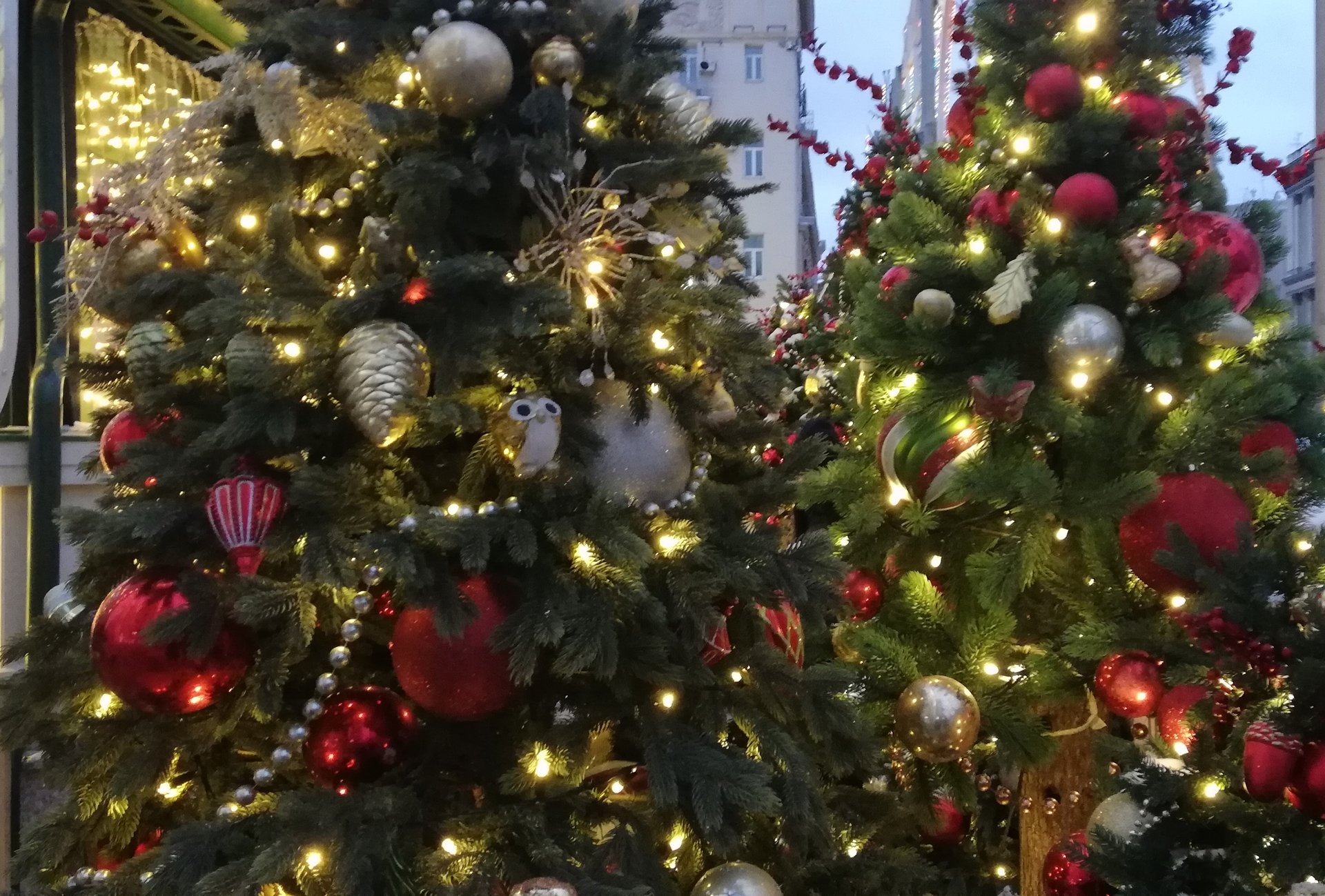 С НОВЫМ 2024 ГОДОМ!