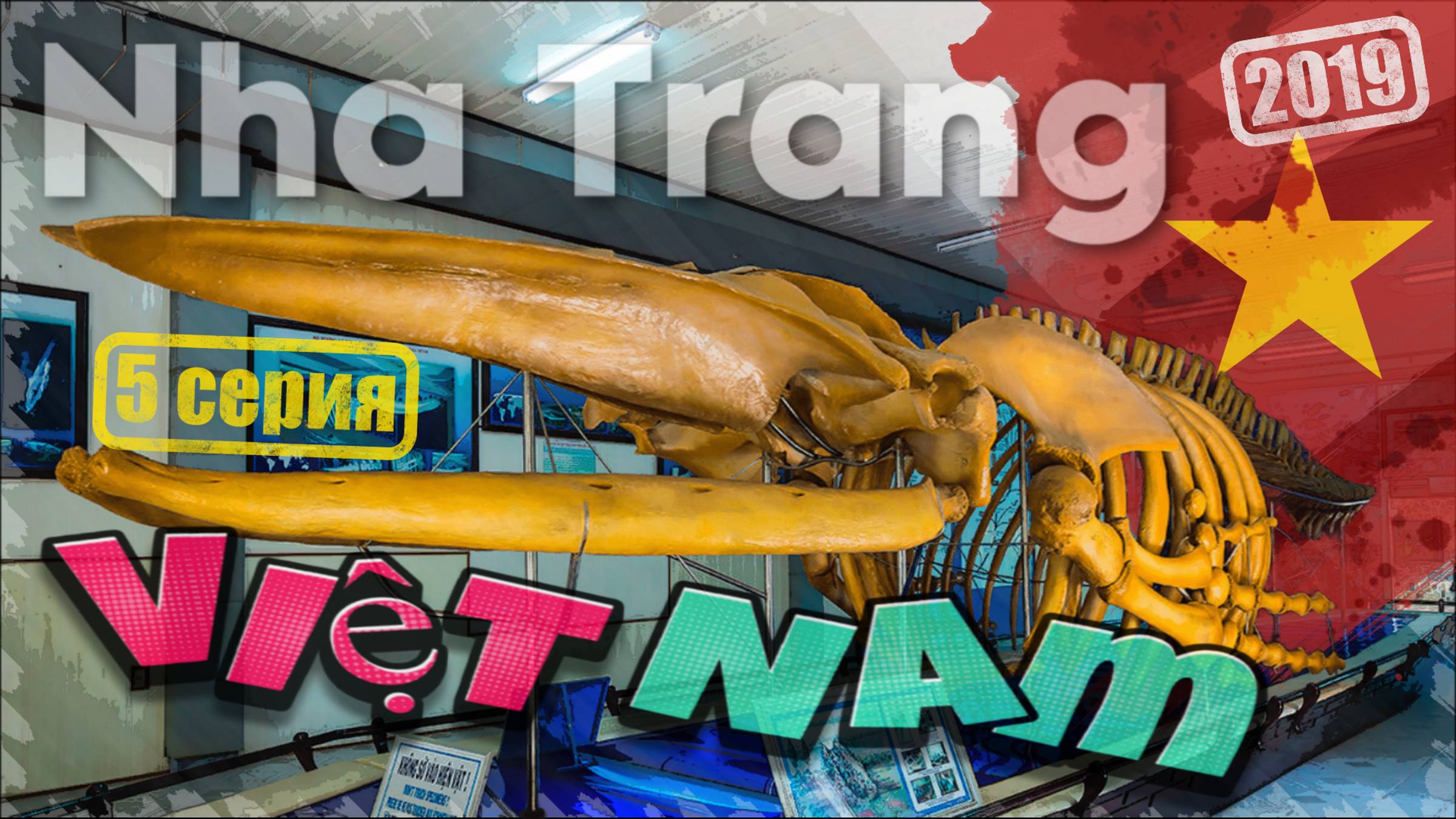 Институт океанографии в Нячанге: Часть 2.