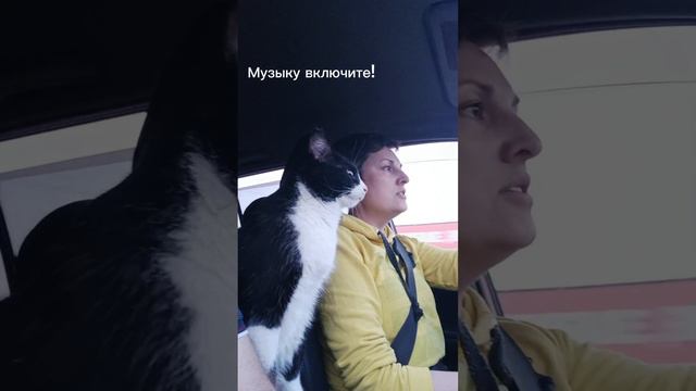 дорожные кото мелодии