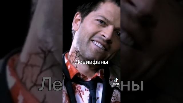 Самый_разносторонний_человек_в_мире_-_Миша_Коллинз