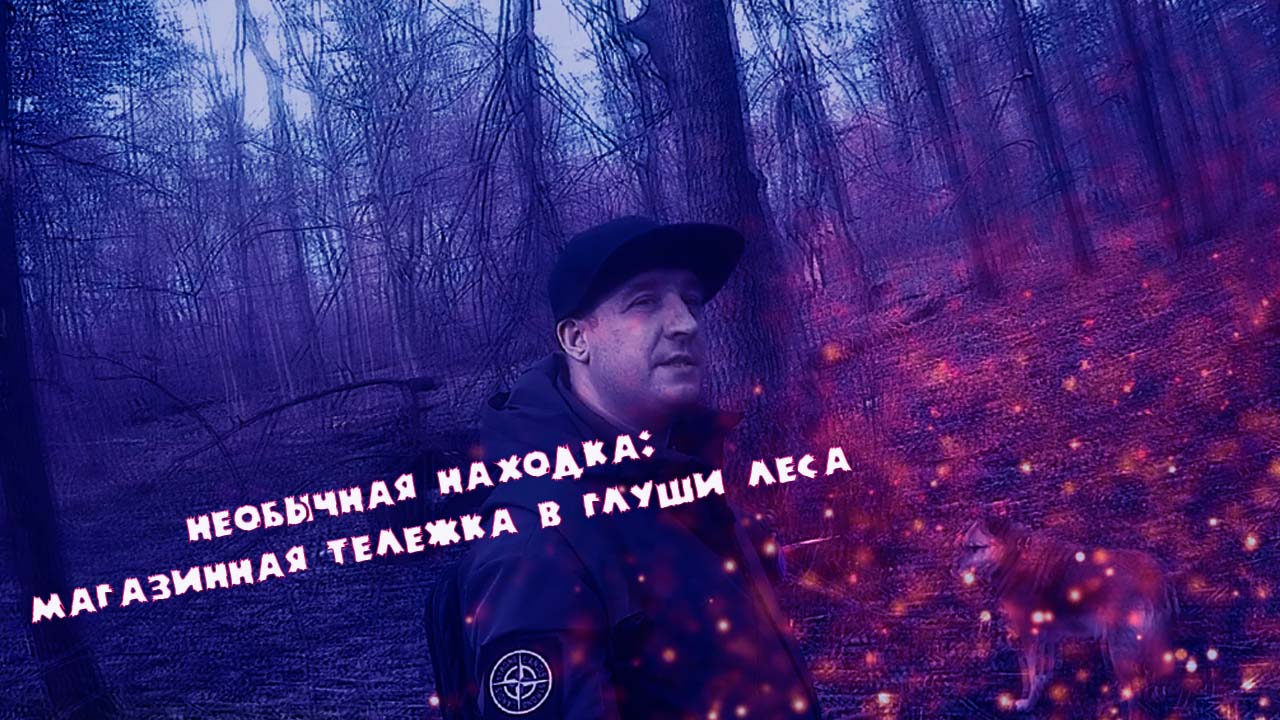 Необычная находка  магазинная тележка в глуши леса