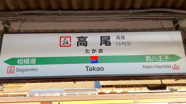 Самый красивый туннель из 8000 вишневых деревьев в Японии ?? Вишневые цветы Кавадзу 2022