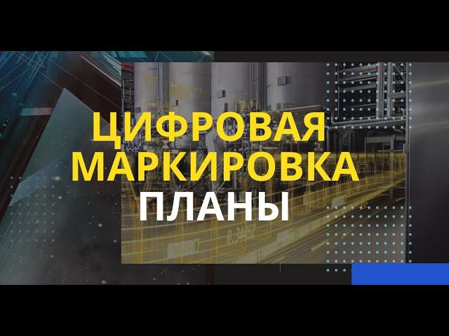 8. Цифровая маркировка. Планы || IT на Молокозаводе