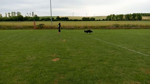 Qualifier Austria'17 Christoph & Scooby R2.mp4