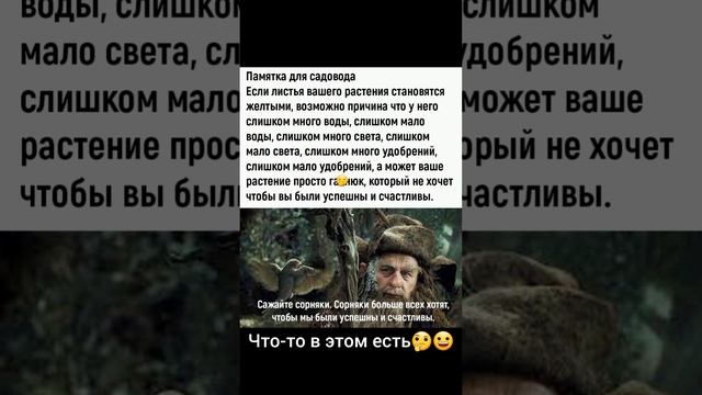 А правда!?Порой самые простые растения с ближайшего рынка растут лучше всего! #shorts #цветы