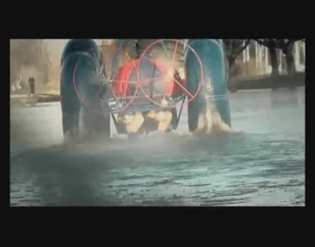 АВТО Плюс - Экзотика -"Кенгуру из Петербурга"