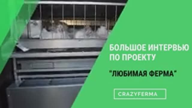 📽БОЛЬШОЕ ИНТЕРВЬЮ с создателем Курятников _Неделя без забот_, автором проекта _Любимая Ферма_. (1)