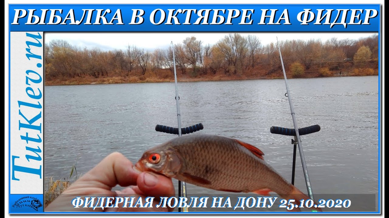 Рыбалка в октябре на фидер. Фидерная ловля на реке Дон.mp4